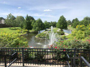 Unveiling Top 10 Must Visit Places in Cypress Texas: A Haven